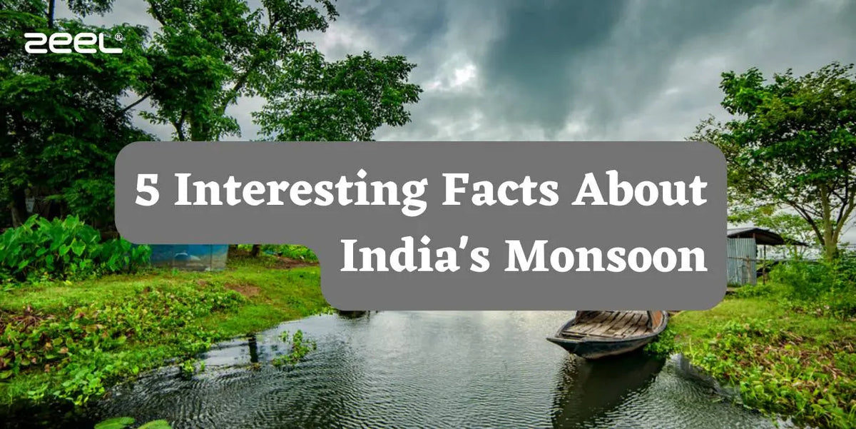 5 Interesting Facts About India's Monsoon