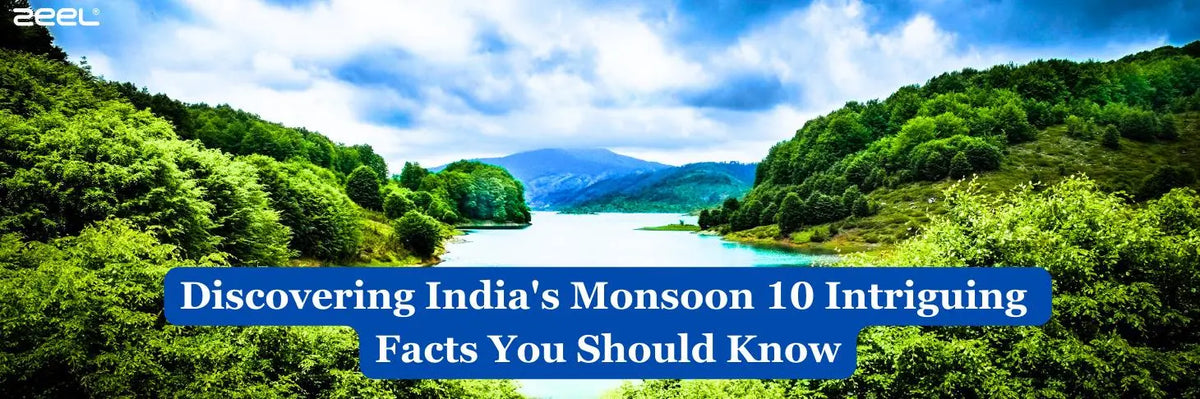 Discovering India's Monsoon 10 Intriguing Facts You Should Know